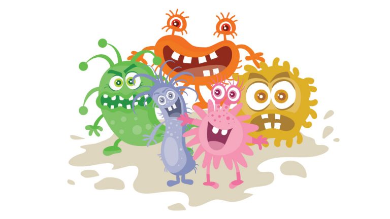 Keeping Your Home Germ Free - Upstate Physicians